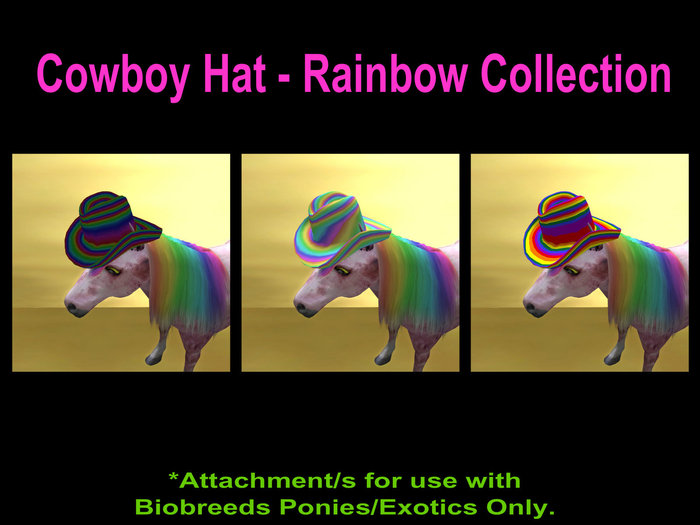 Second Life Marketplace - Biobreeds Attachments Cowboy Hat- Rainbow ...