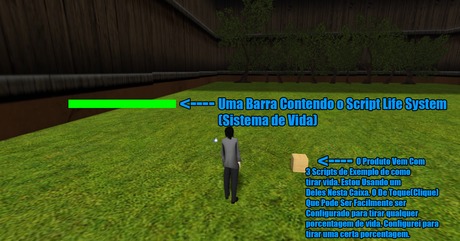 Second Life Marketplace - ..:-Scripts for Life-:.. Life System