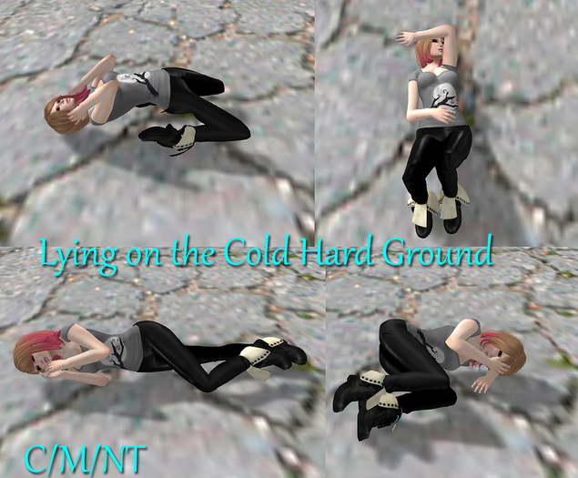 Second Life Marketplace - Sweet Sacrifice ~ Lying on the Cold Hard ...