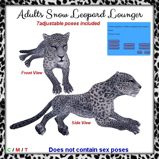 Second Life Marketplace - Adults lounging Snow Leopard (Box)