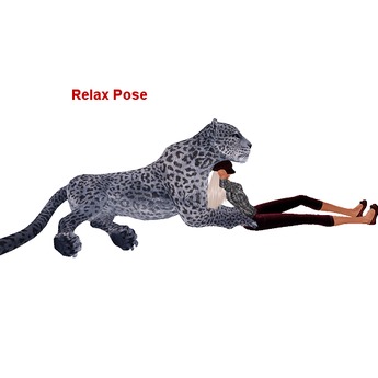 Second Life Marketplace - Adults lounging Snow Leopard (Box)