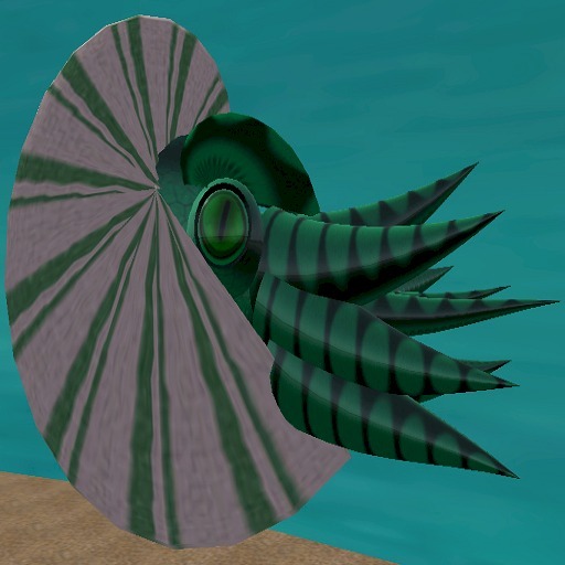 Second Life Marketplace - Pet Nautilus (rez, do NOT wear) (17 prims)