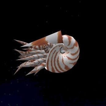 Second Life Marketplace - Abyss Chambered Nautilus NPV (2 prims)