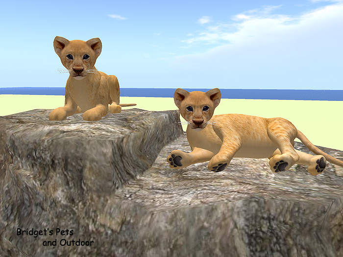 Second Life Marketplace - Bridget's Two Little Lions