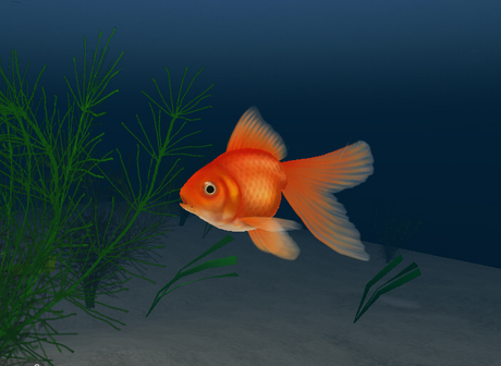 Second Life Marketplace - Goldfish Avatar KINGYO(DEMO)