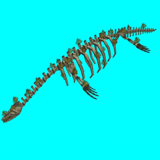 Second Life Marketplace - Nessie Skeleton (16 prims)