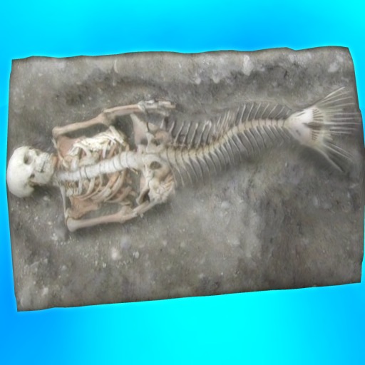 Real Mermaid Fossils