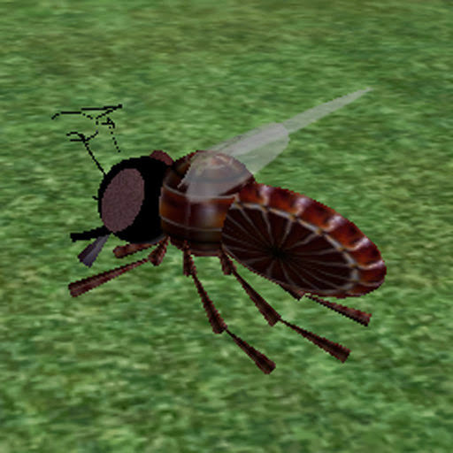 Second Life Marketplace - Harvy The Wonder Fly Follower Pet (rez don't ...