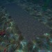 Second Life Marketplace - Sunken Stone Walkway (1 prim)