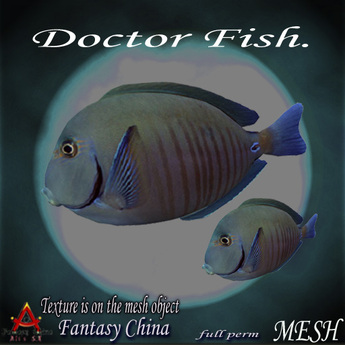 Second Life Marketplace - Fantasy China Mesh Doctor Fish full perm 0.5 prim