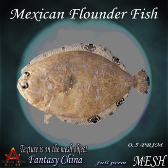 Second Life Marketplace - Fantasy China Mesh Mexican Flounder Fish full ...