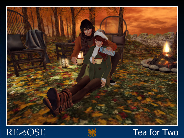 Second Life Marketplace - Repose MF TEA FOR TWO Couple Pose
