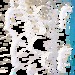 Second Life Marketplace - Sea foam alpaha textures pack