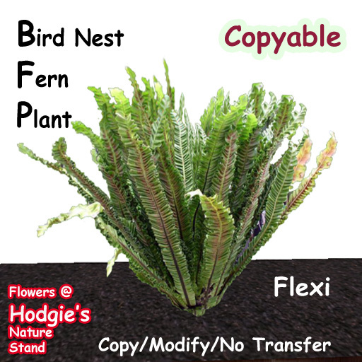 Second Life Marketplace - Hodgie's Flowers & Plants -- Tropical Bird ...