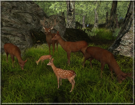Second Life Marketplace - ~*SR*~ Red Deer Heard with Sounds cm Box