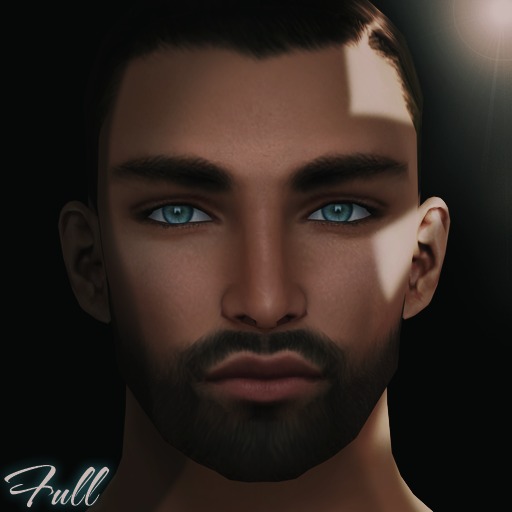 Second Life Marketplace - *BIRTH* Vince Skin DEMOS (990l individually ...
