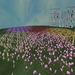Second Life Marketplace - RG FLOWER ORCHID ASSORTED 8 FIELD 10 X 10 C