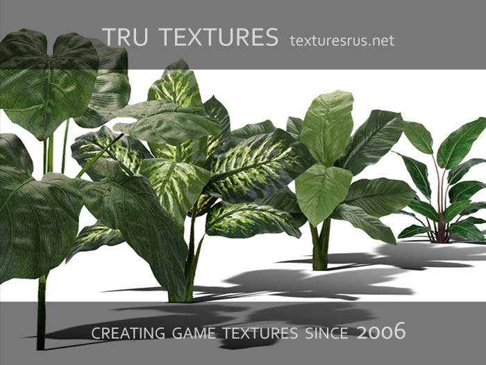Second Life Marketplace - 12766: 20 x Various Plant Textures Plus ...