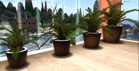 Second Life Marketplace - Round Darkwood Potted Tropical Plant 4 ...
