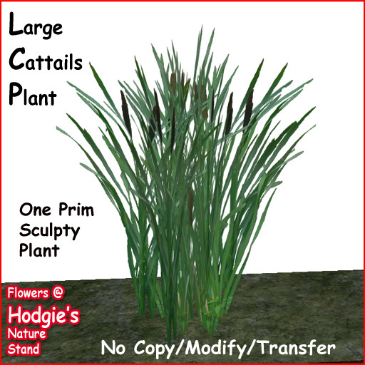 Second Life Marketplace - Hodgie's Flowers & Plants -- Cattails Group ...