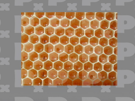Second Life Marketplace - Bee Hive Wall Inside Real Texture