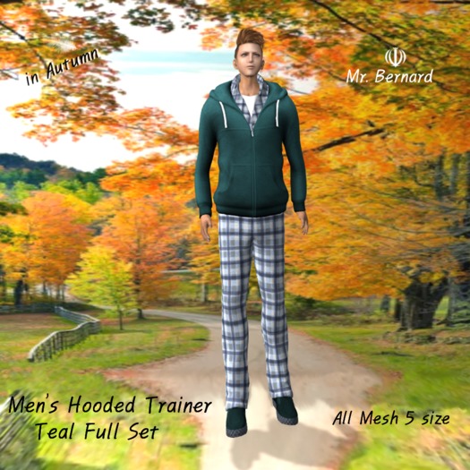 Second Life Marketplace - 17-2 Men's Hooded Trainer Teal Full set box