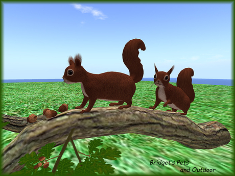 Second Life Marketplace - Bridget's Squirrels Set - Eichhoernchen Set
