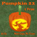 Second Life Marketplace - Pumpkin 22 (MN)(Box)