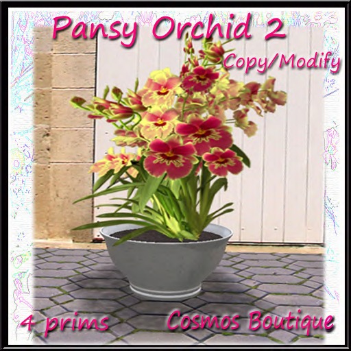 Second Life Marketplace - Cosmos Pansy Orchid 2 (box)