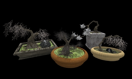 Second Life Marketplace - Bonsai Pack - set of 4 texture changing bonsai