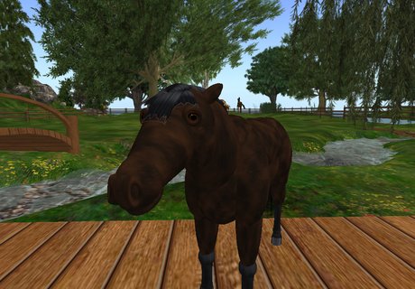 Second Life Marketplace - Animated Pony