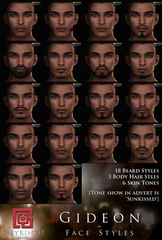 Second Life Marketplace - -Labyrinth- Gideon Skin DEMOS (Sunkissed)