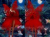 Second Life Marketplace - Carrie's Fairy Red