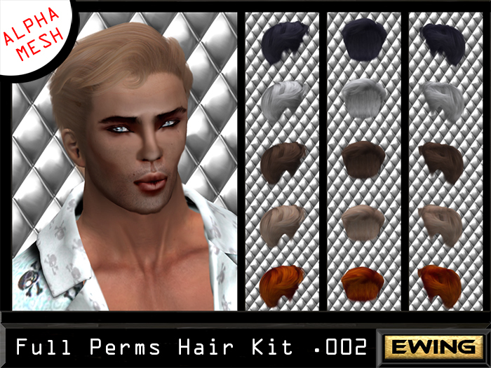 Second Life Marketplace - *+EWING+* Full Perm Hair Kit 002 dae vers