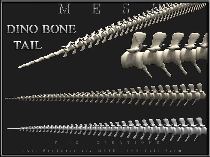 Second Life Marketplace - T-3D Creations [ Dino Bone - Tail No.1 ...