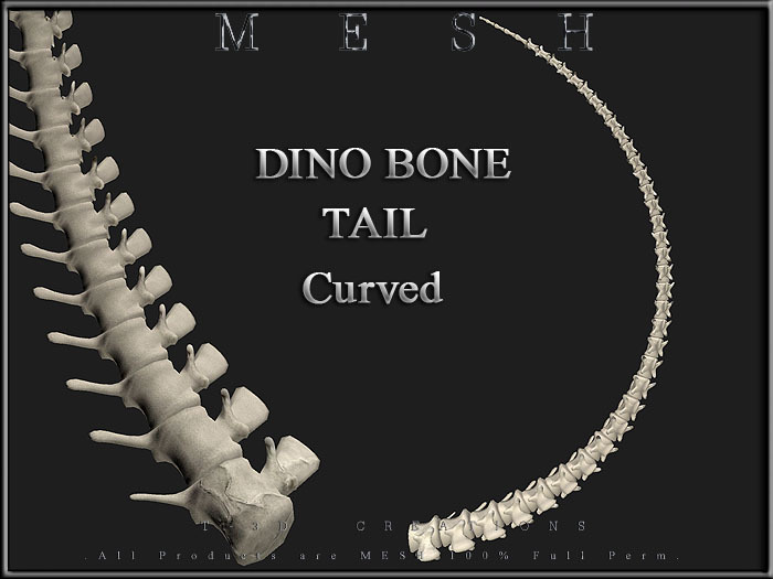 Second Life Marketplace - T-3D Creations [ Dino Bone - Tail No.2 ...