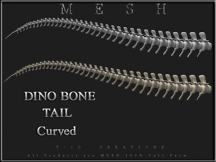 Second Life Marketplace - T-3D Creations [ Dino Bone - Tail No.3 ...