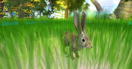 Second Life Marketplace - Moving Rabbit - Mesh 1 L.i.