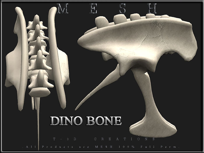 Second Life Marketplace - T-3D Creations [ Dino Bone - Hip Bones ...