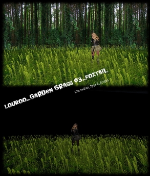 Second Life Marketplace - LouRoo Garden Grass 03 Foxtail BOX
