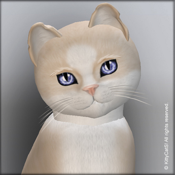 Second Life Marketplace - Chateau Cat - Cream & White No. 1