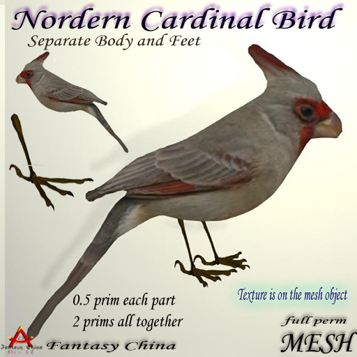 Second Life Marketplace - Fantasy China MESH Nordern Cardinal Bird 0.5 ...