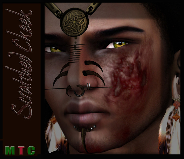 Second Life Marketplace - FALLEN WOUND :: Scratched Cheek * BOM