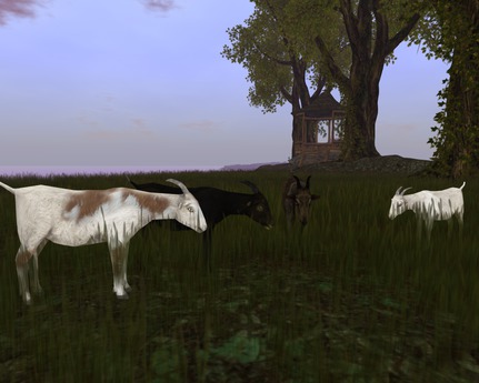 Second Life Marketplace - Goat Fainting Goat Herd Set Of 4