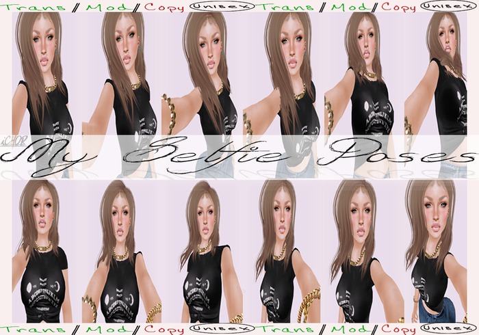 Second Life Marketplace - iCHOR Selfie Static Poses