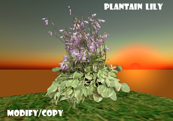 Second Life Marketplace - 1 Prim Plantain Lily