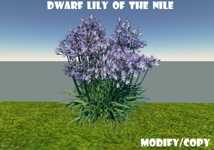 Second Life Marketplace - 1 Prim Dwarf Lily of the Nile