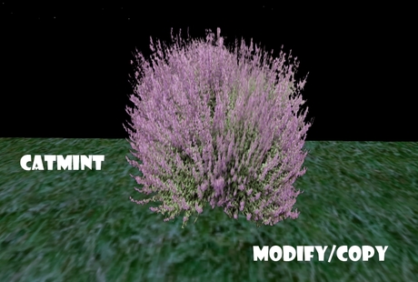Second Life Marketplace - 1 Prim Catmint