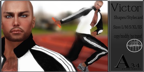 Second Life Marketplace - shape victor A34 by Alixan34