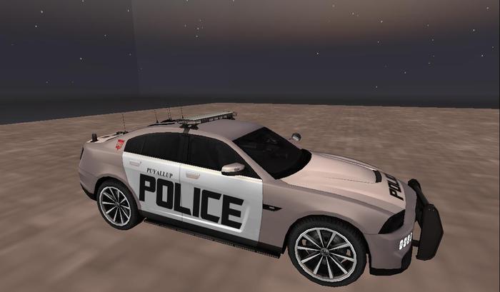 Second Life Marketplace - Enforcer PUYALLUP POLICE Paint